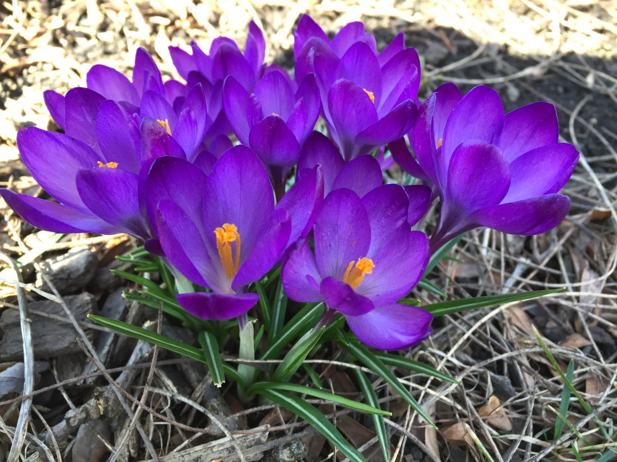 Touching on Contract and Covenant – therockshelf.com